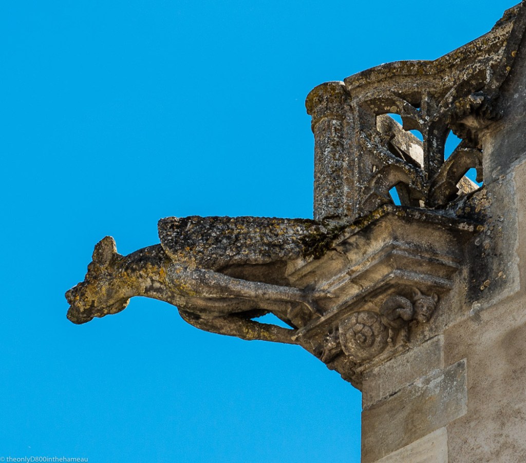 Tuesdays of Texture: Gargoyle | theonlyD800inthehameau